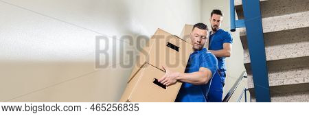 Movers Team Carrying Image & Photo (Free Trial) | Bigstock