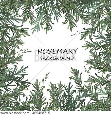 Rosemary Card Banner Vector & Photo (Free Trial) | Bigstock