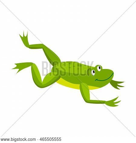 Green Frog Flying Vector & Photo (Free Trial) | Bigstock