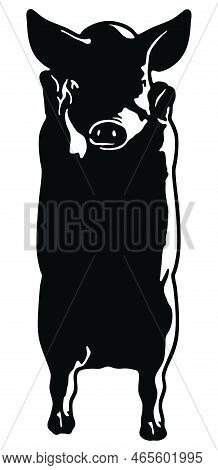 Funny Pig Standing On Vector & Photo (Free Trial) | Bigstock