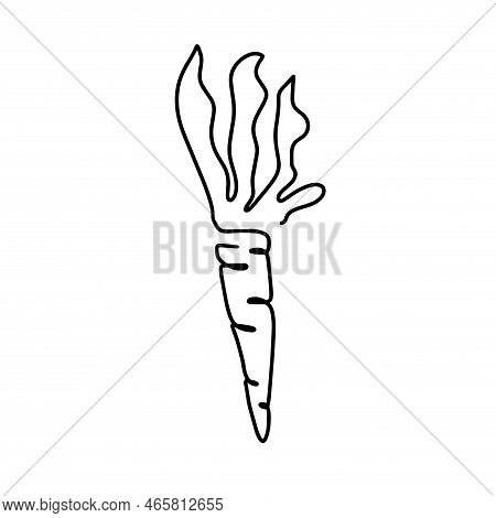 Simple Carrot Design Vector & Photo (Free Trial) | Bigstock