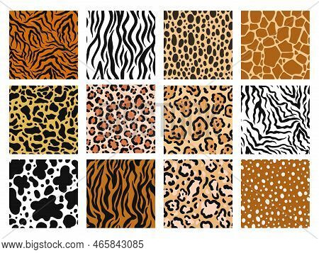 Animal Skin Pattern. Vector & Photo (Free Trial) | Bigstock