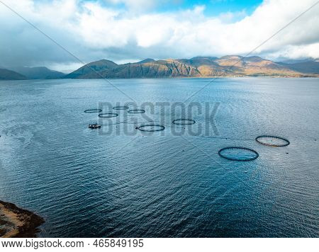 Aquaculture Intensive Image & Photo (Free Trial) | Bigstock