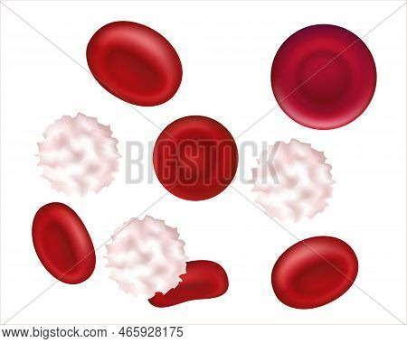 Healthy Human Red Image & Photo (Free Trial) | Bigstock