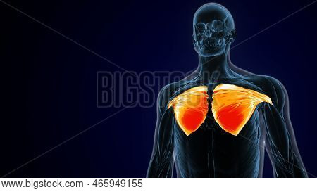 3d Illustration Image & Photo (Free Trial) | Bigstock
