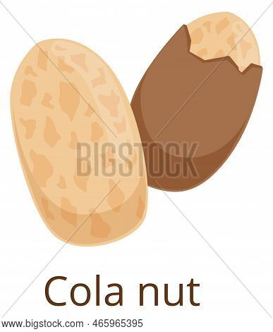 Cola Nut Icon. Vector & Photo (Free Trial) | Bigstock