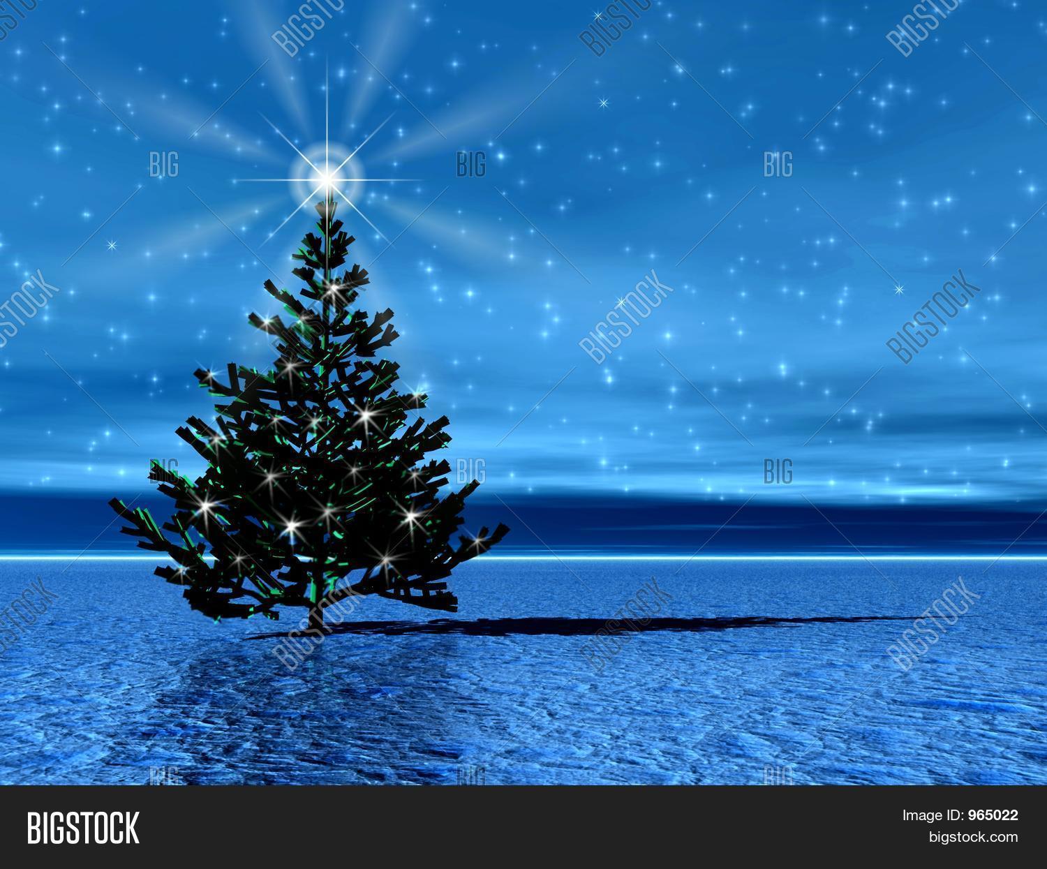Christmas Tree . Night Image & Photo (Free Trial) | Bigstock
