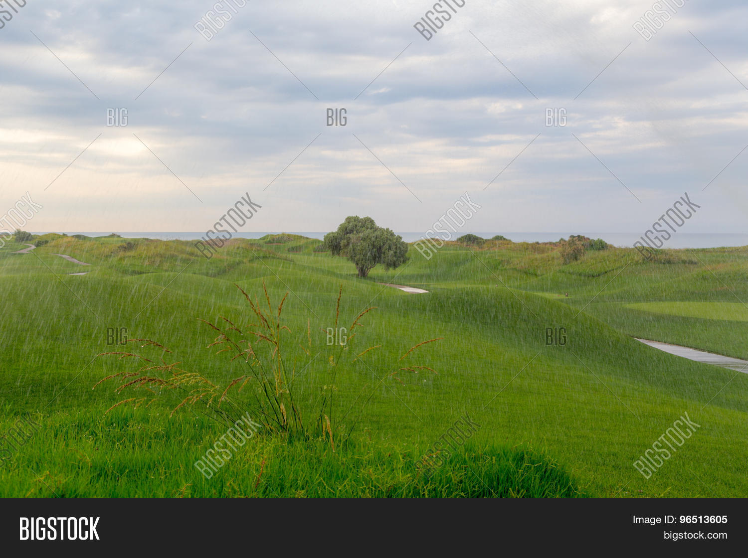 Rain On Golf Course Image & Photo (Free Trial) | Bigstock