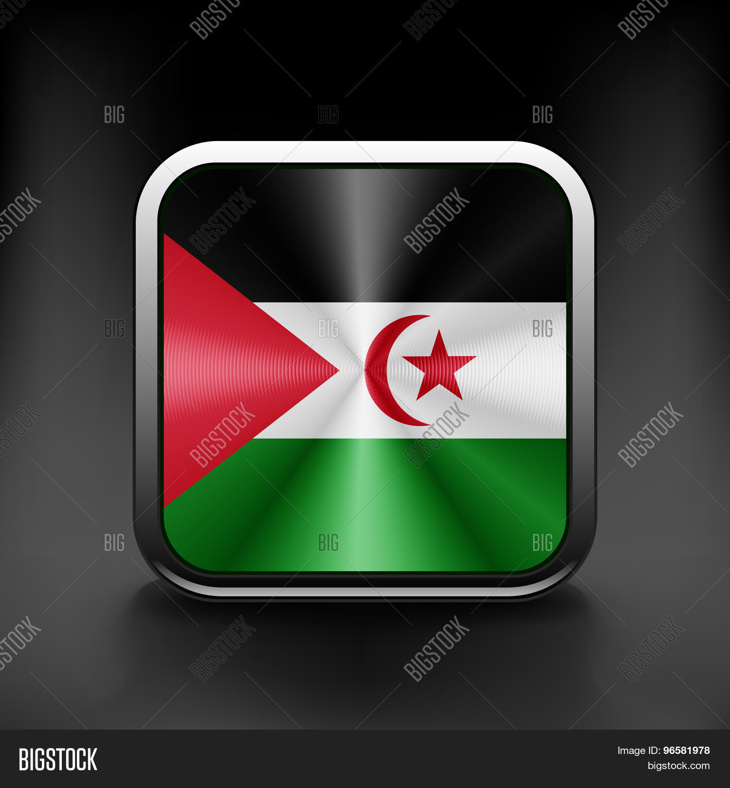 Western Sahara Icon Vector & Photo (Free Trial) | Bigstock