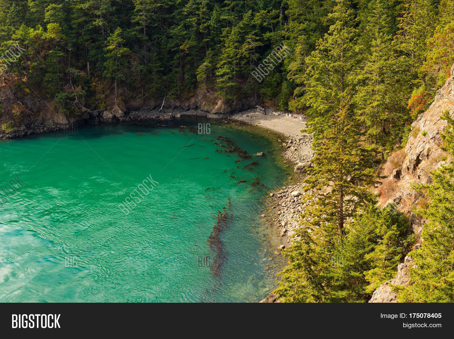 Small Cove Deception Image & Photo (Free Trial) | Bigstock