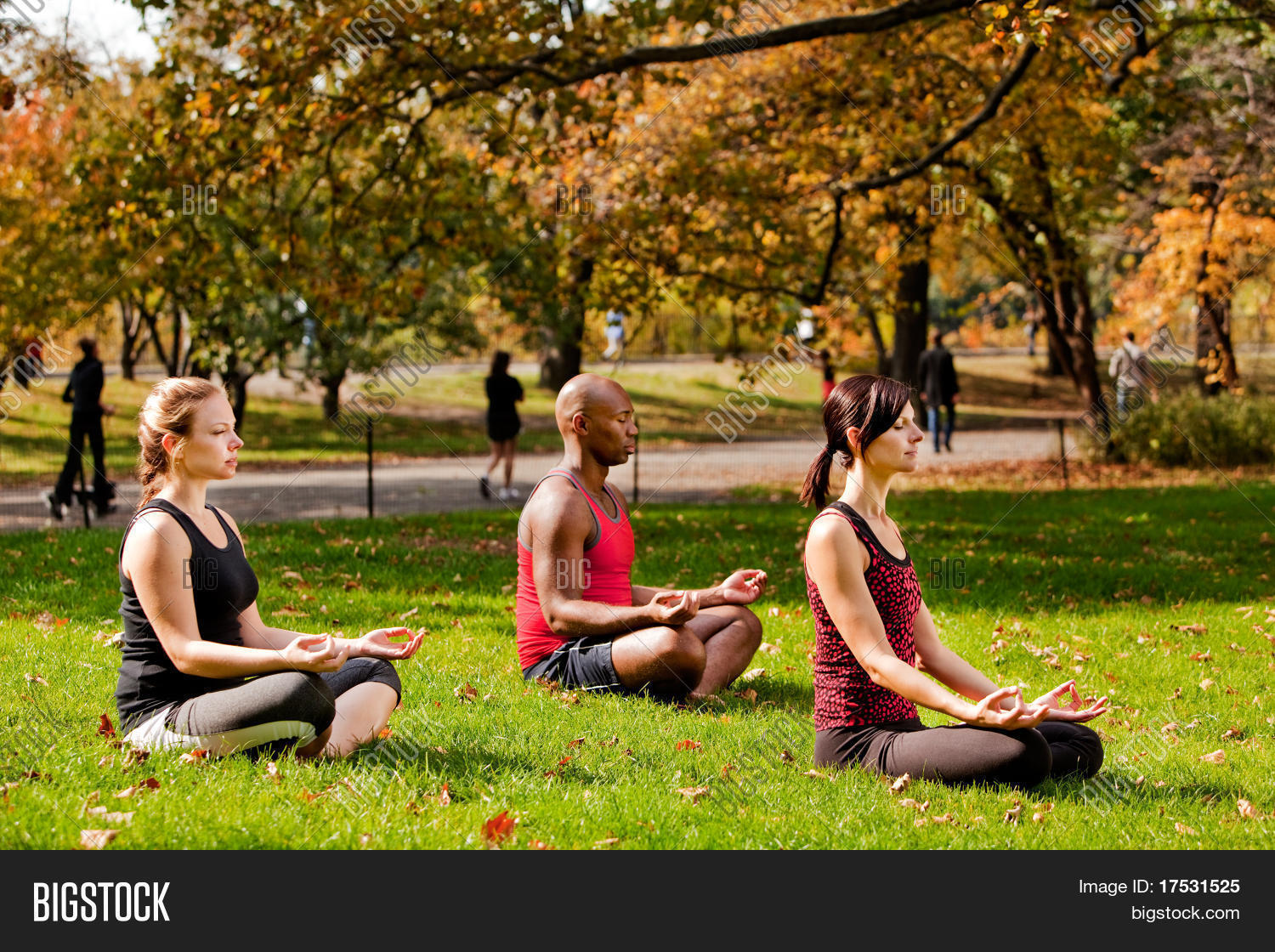 Group People Relaxing Image & Photo (Free Trial) | Bigstock