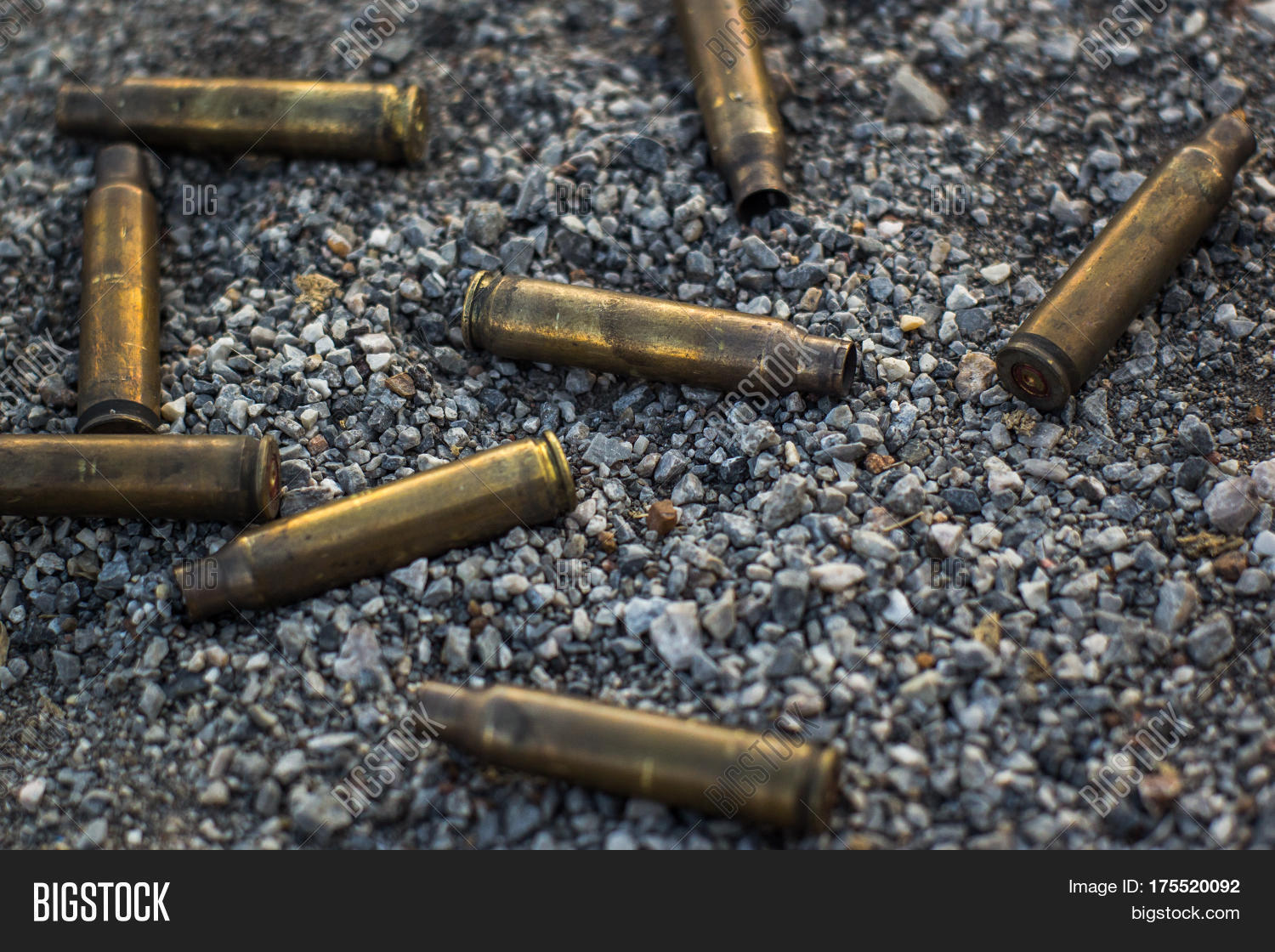 Bullet Shell Assault Image & Photo (Free Trial) | Bigstock