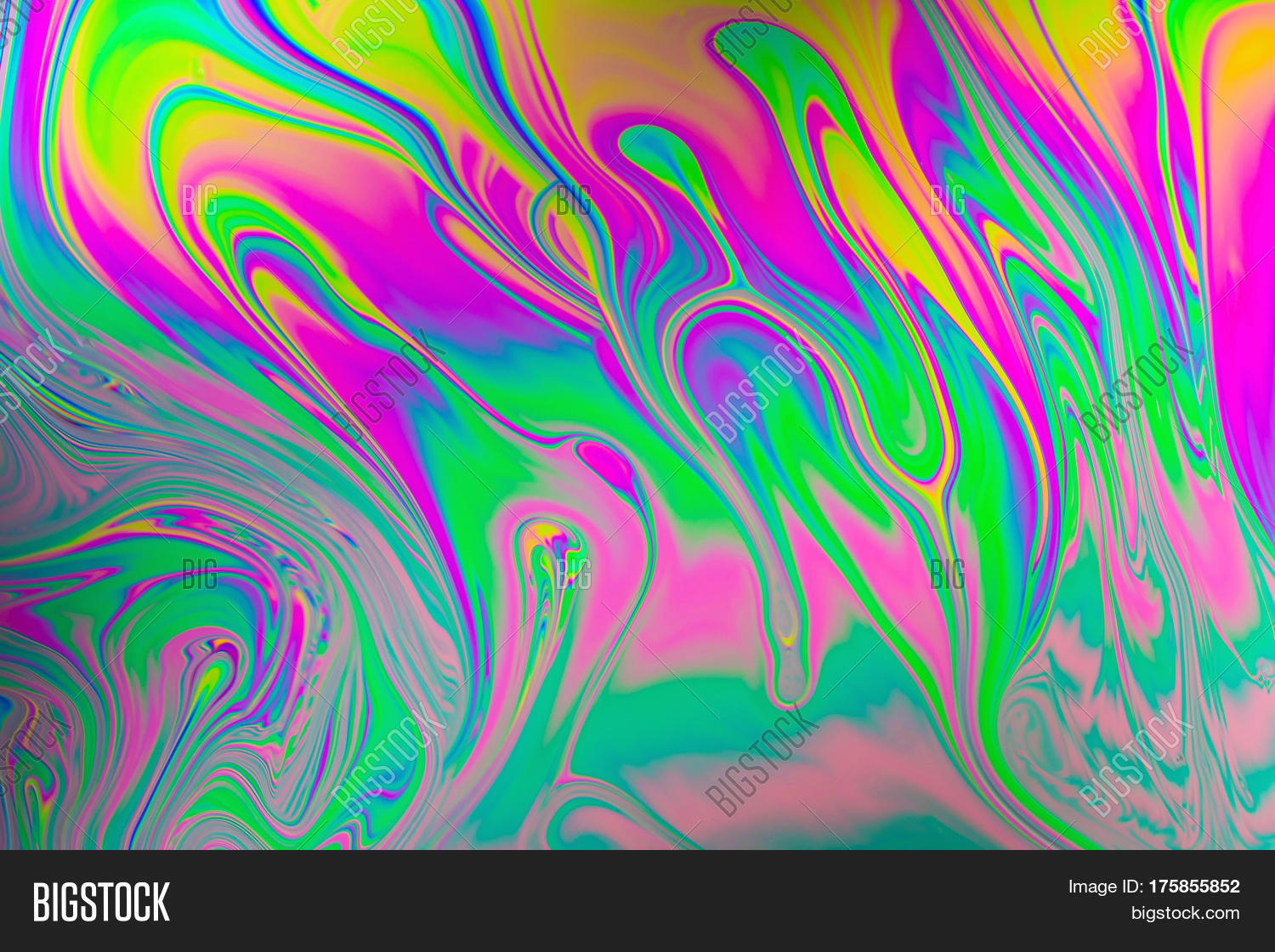 Beautiful Multi Color Image & Photo (Free Trial) | Bigstock