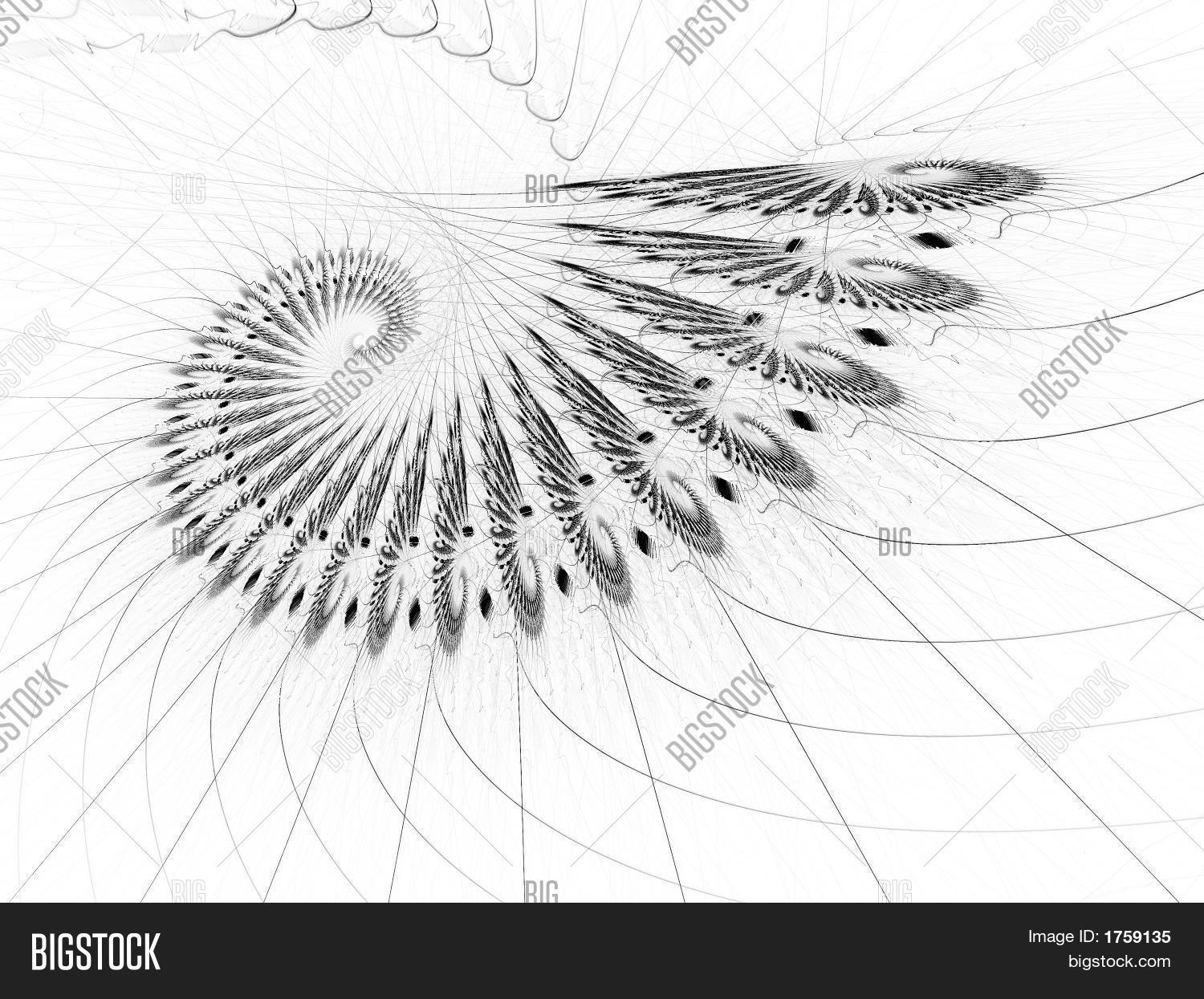 Complex Lines Image & Photo (Free Trial) | Bigstock