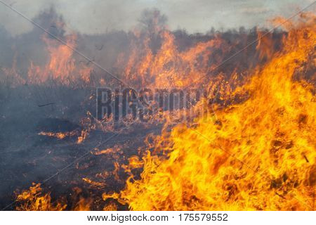 Big Extensive Fire Image & Photo (Free Trial) | Bigstock