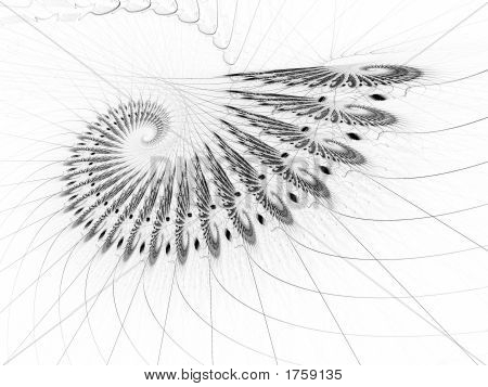 Complex Lines Image & Photo (Free Trial) | Bigstock