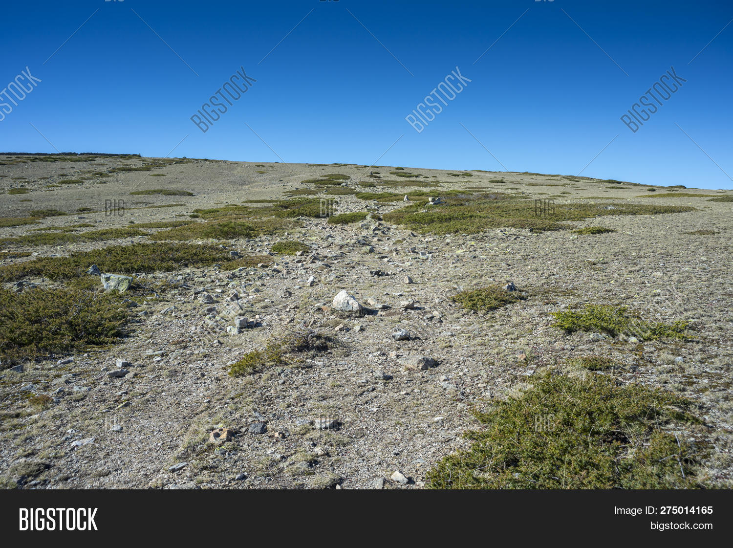 Alpine Grasslands Image & Photo (Free Trial) | Bigstock