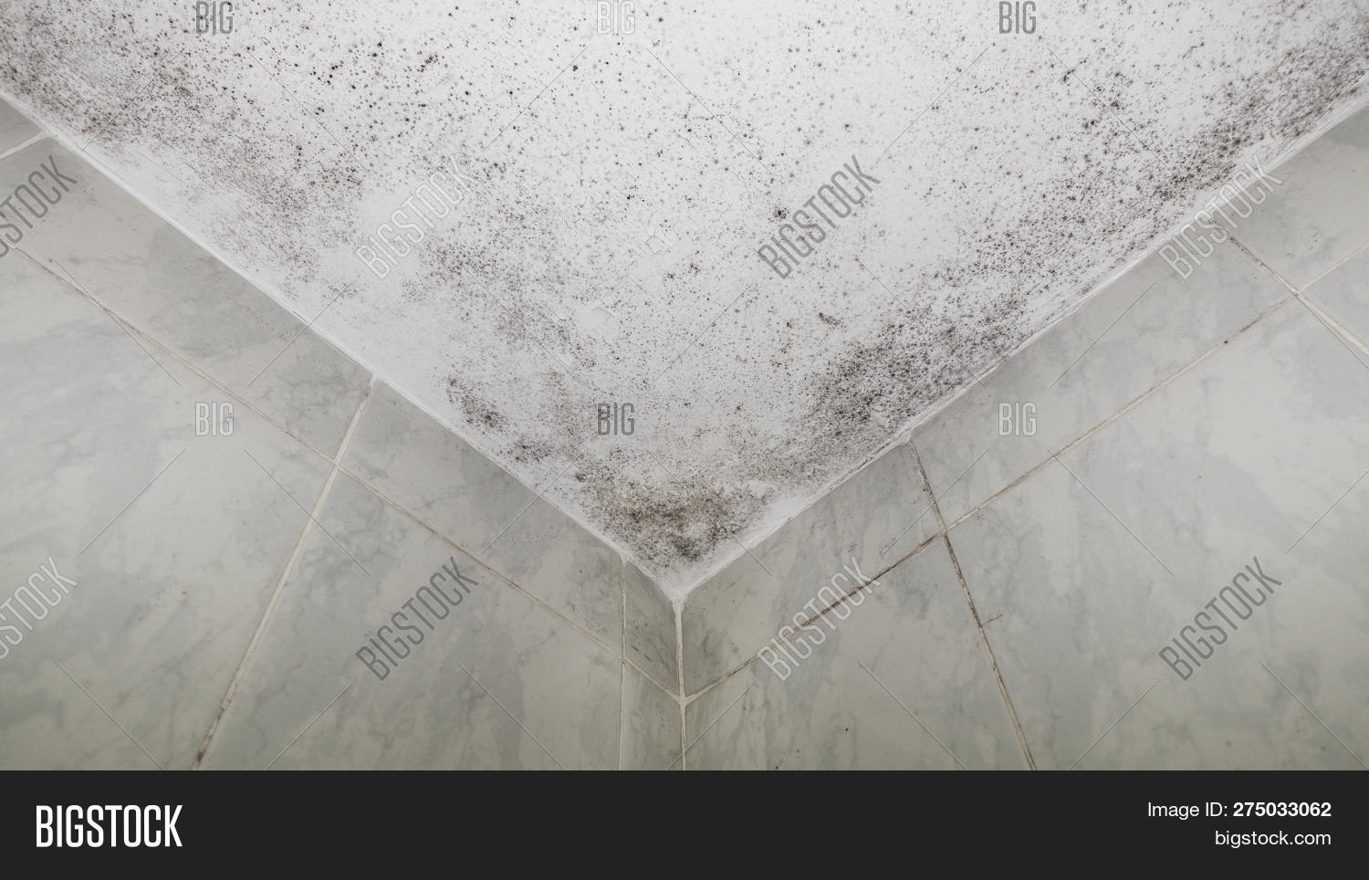 Damp Patches Bath Roof Image & Photo (Free Trial) | Bigstock