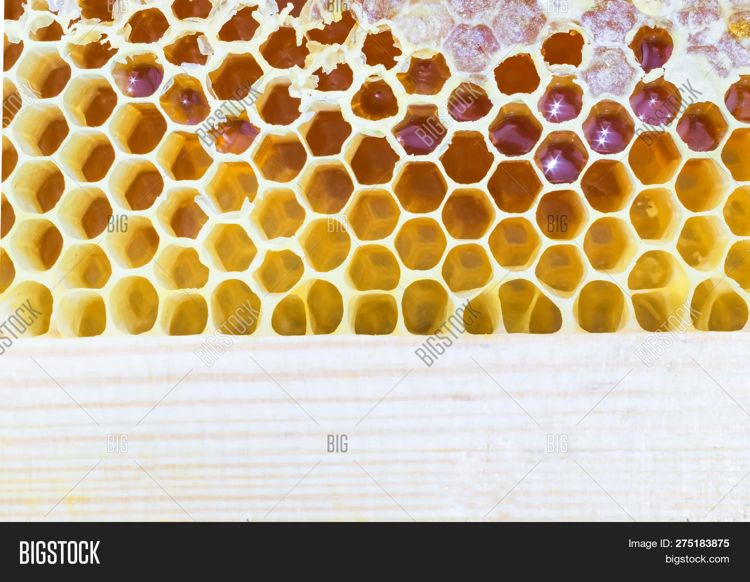 Bee Honeycombs. Image & Photo (Free Trial) | Bigstock