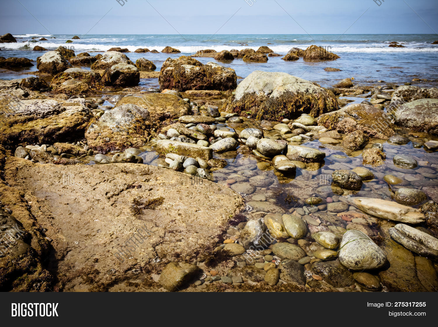 Tide Pools On Pacific Image & Photo (Free Trial) | Bigstock