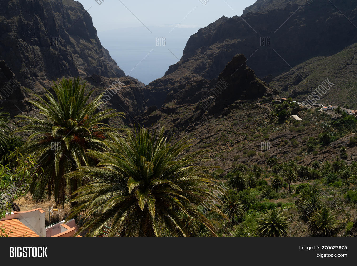 Vew Macizo De Teno Image & Photo (Free Trial) | Bigstock