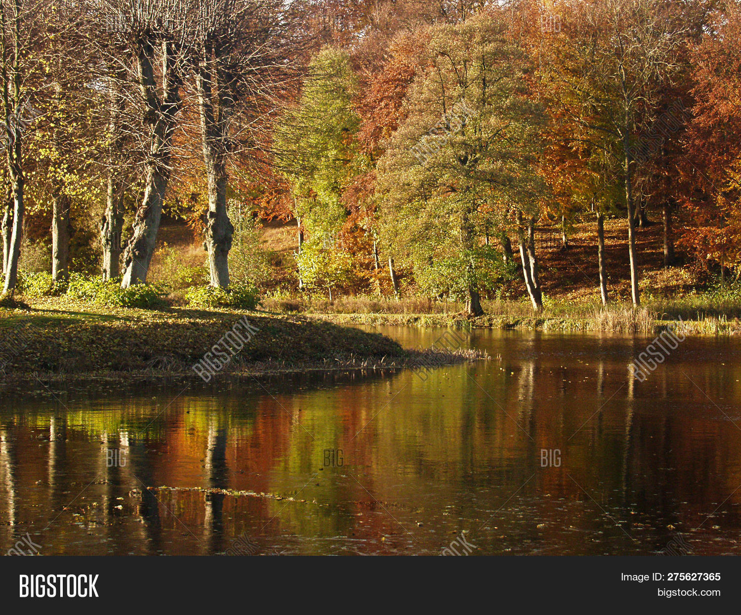 Reflection On Lake Image & Photo (Free Trial) | Bigstock