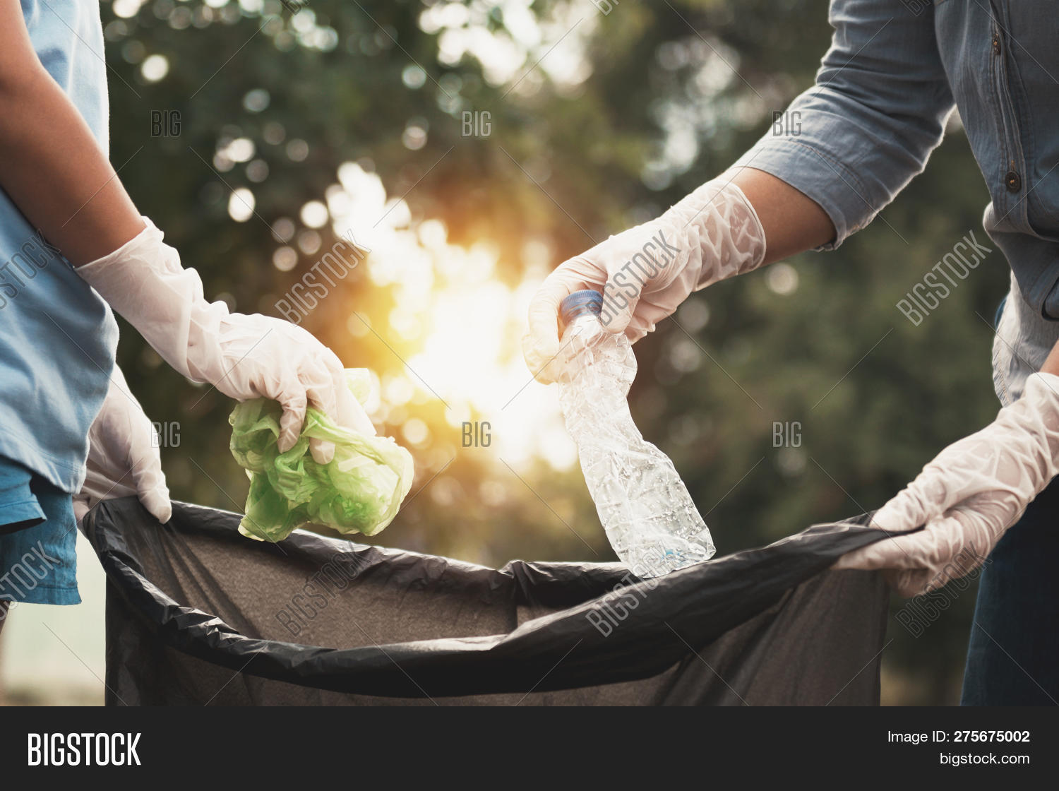 Woman Hand Picking Image & Photo (Free Trial) | Bigstock