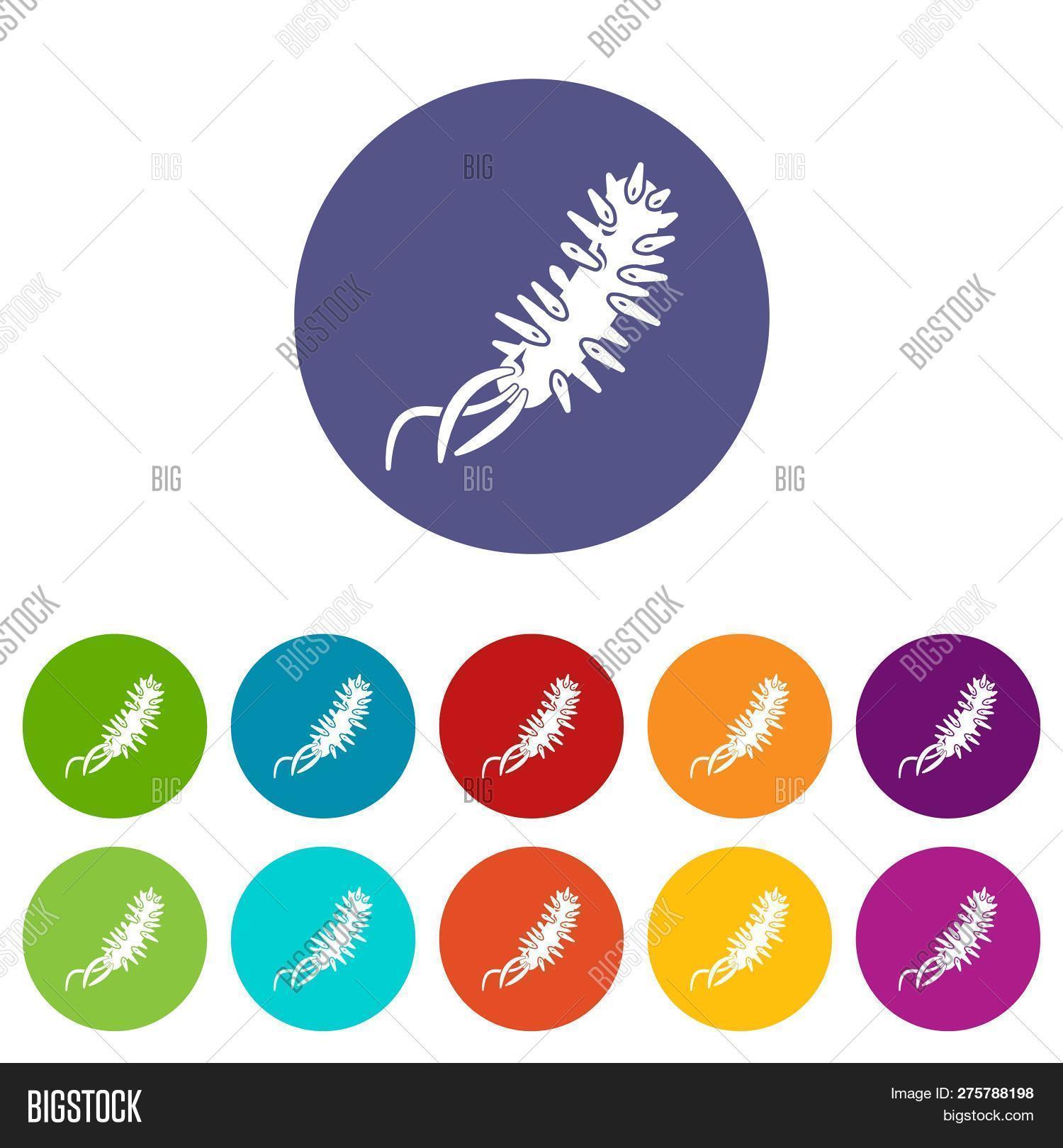 E Coli Bacteria Icons Image & Photo (Free Trial) | Bigstock