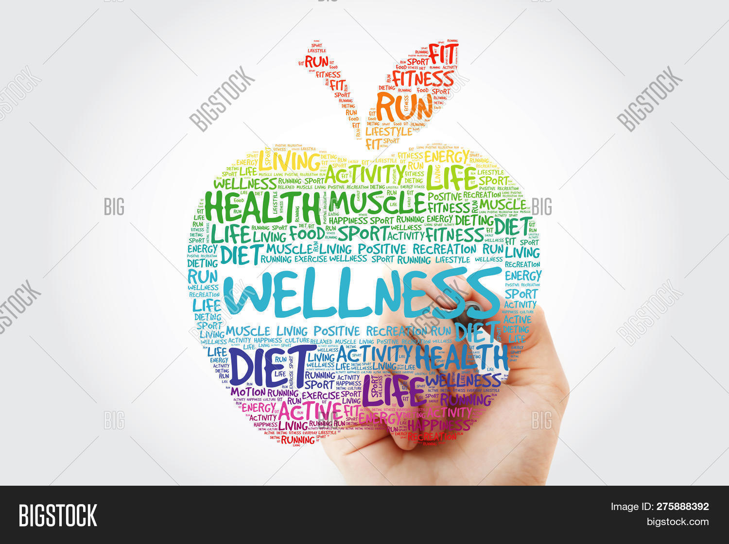 Wellness Apple Word Image & Photo (Free Trial) | Bigstock