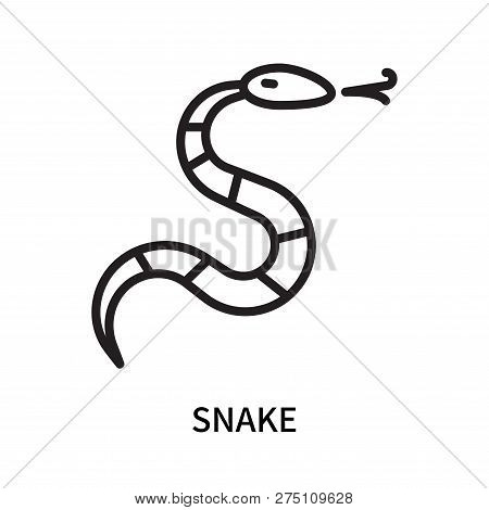 Snake Icon Isolated Vector & Photo (Free Trial) | Bigstock