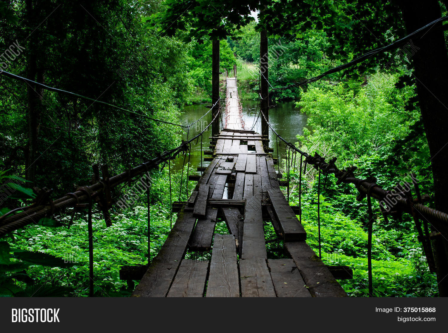 Very Old Hanging Image & Photo (Free Trial) | Bigstock