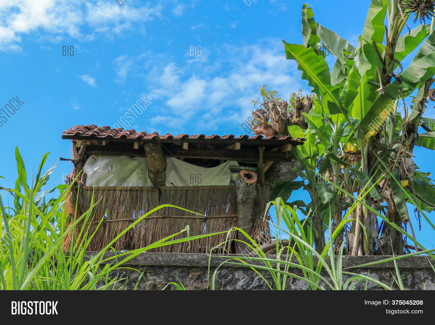 Traditional Farmer Hut Image & Photo (Free Trial) | Bigstock