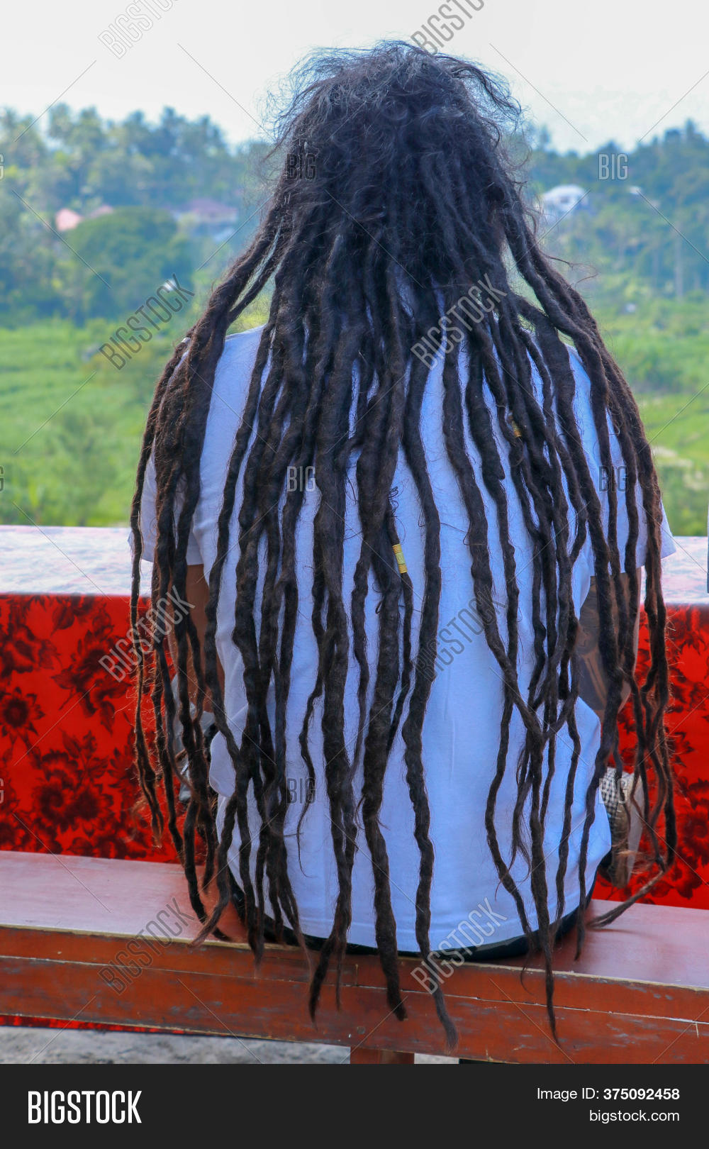 Rear View Male Head Image & Photo (Free Trial) | Bigstock