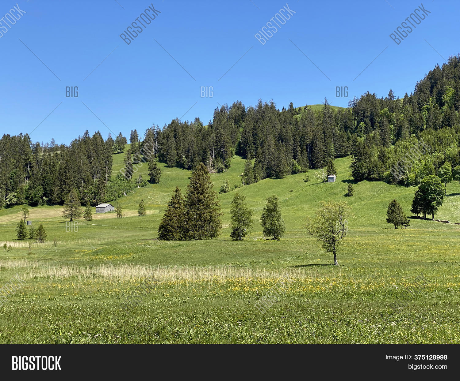 Alpine Pastures Image & Photo (Free Trial) | Bigstock