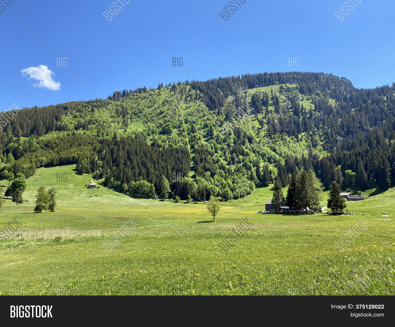 Alpine Pastures Image & Photo (Free Trial) | Bigstock