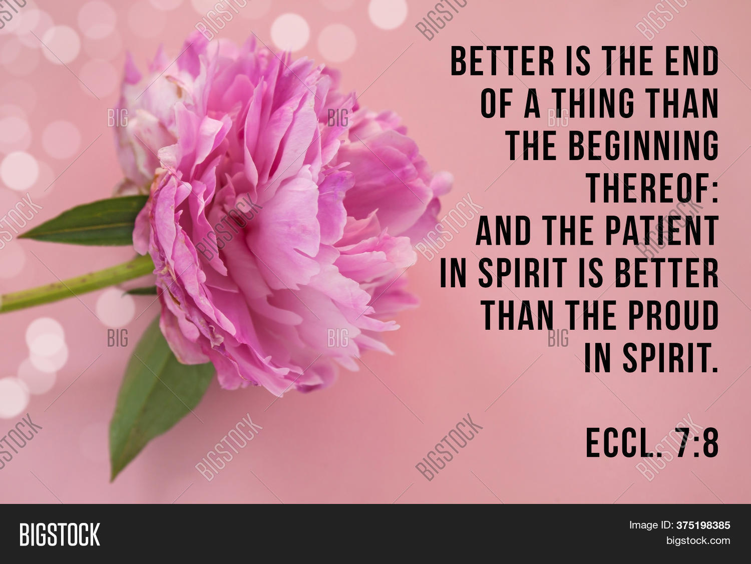 Better End Thing Than Image & Photo (Free Trial) | Bigstock