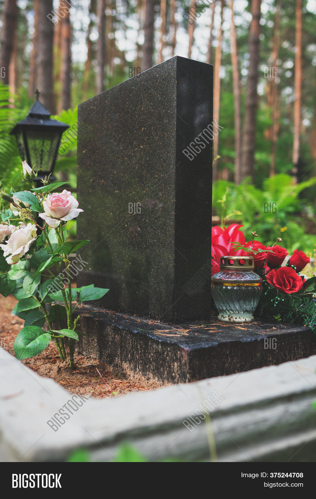 Memorial Stone Forest Image & Photo (Free Trial) | Bigstock
