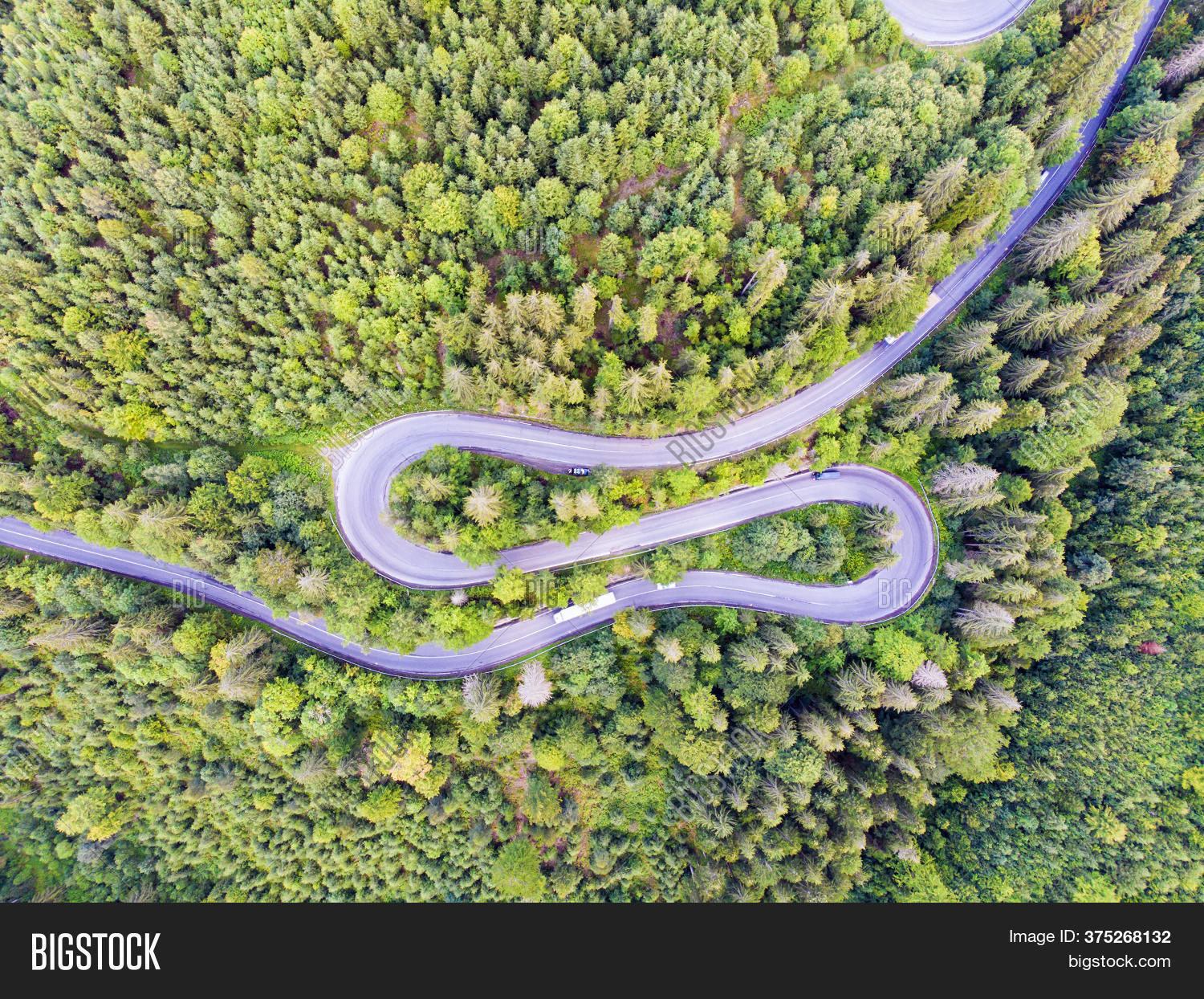Above View Curvy Road Image & Photo (Free Trial) | Bigstock