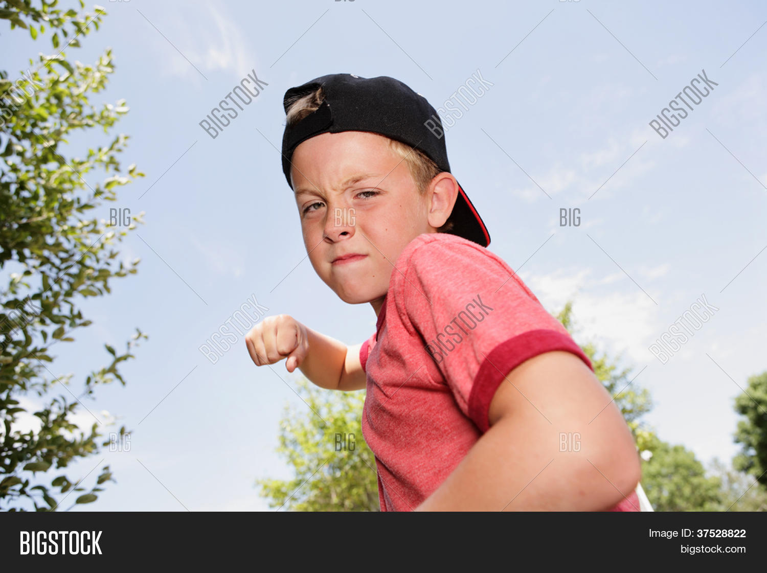 Bully Image & Photo (Free Trial) | Bigstock