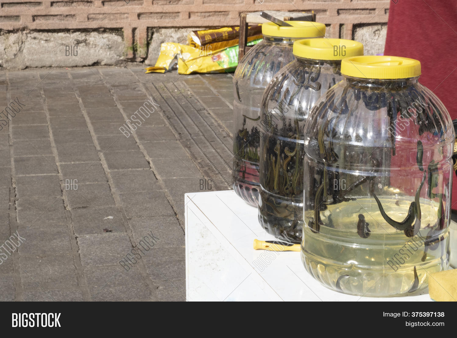 Hirudotherapy. Leech Image & Photo (Free Trial) | Bigstock