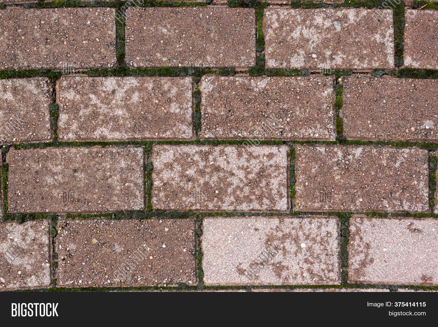 Texture Paving Tiles Image & Photo (Free Trial) | Bigstock