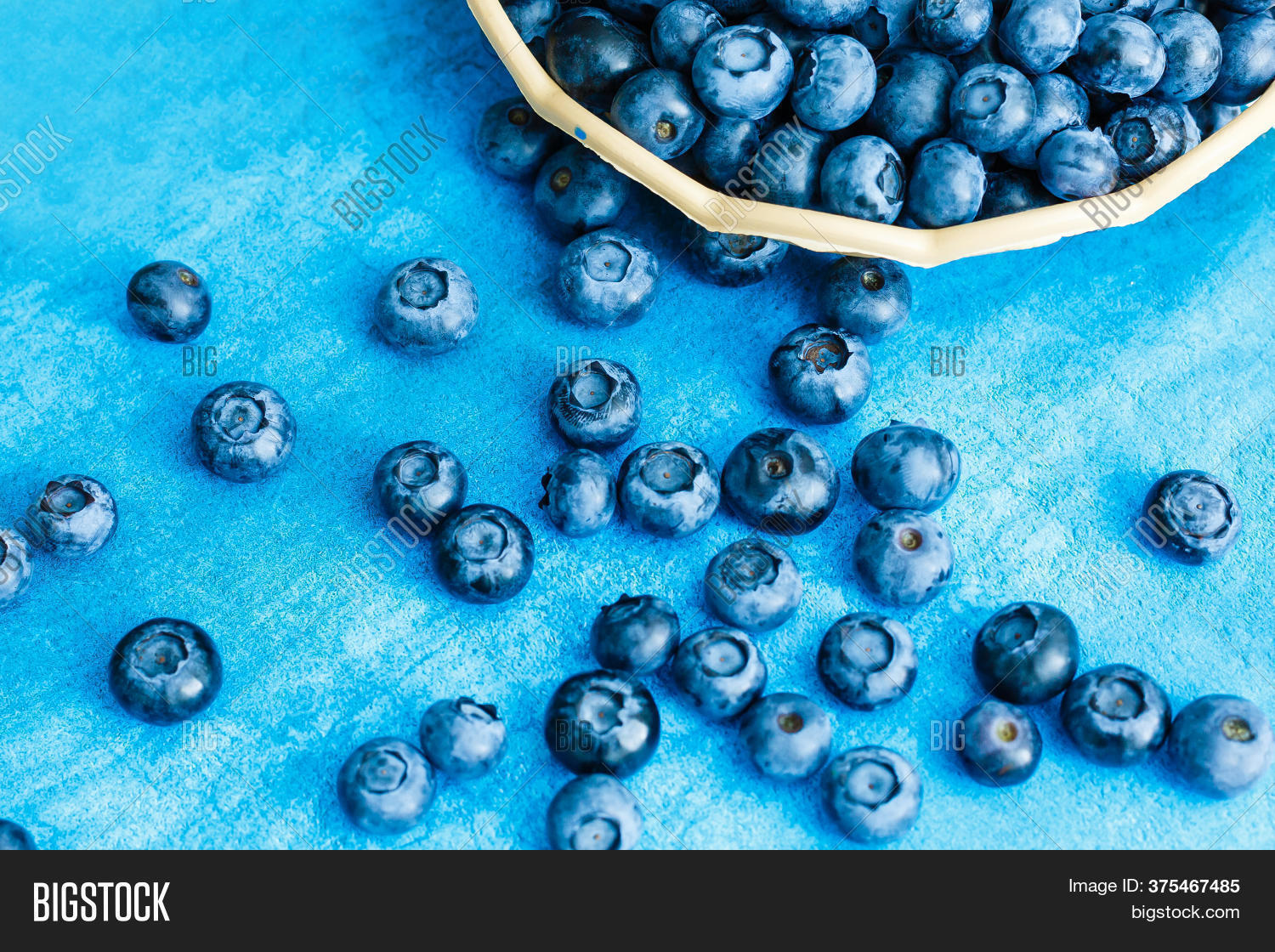 Blueberries On Image & Photo (Free Trial) | Bigstock