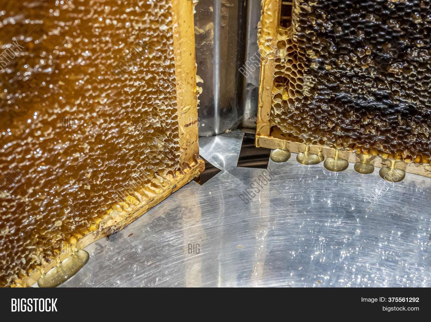 Extracting Honey, Image & Photo (Free Trial) | Bigstock
