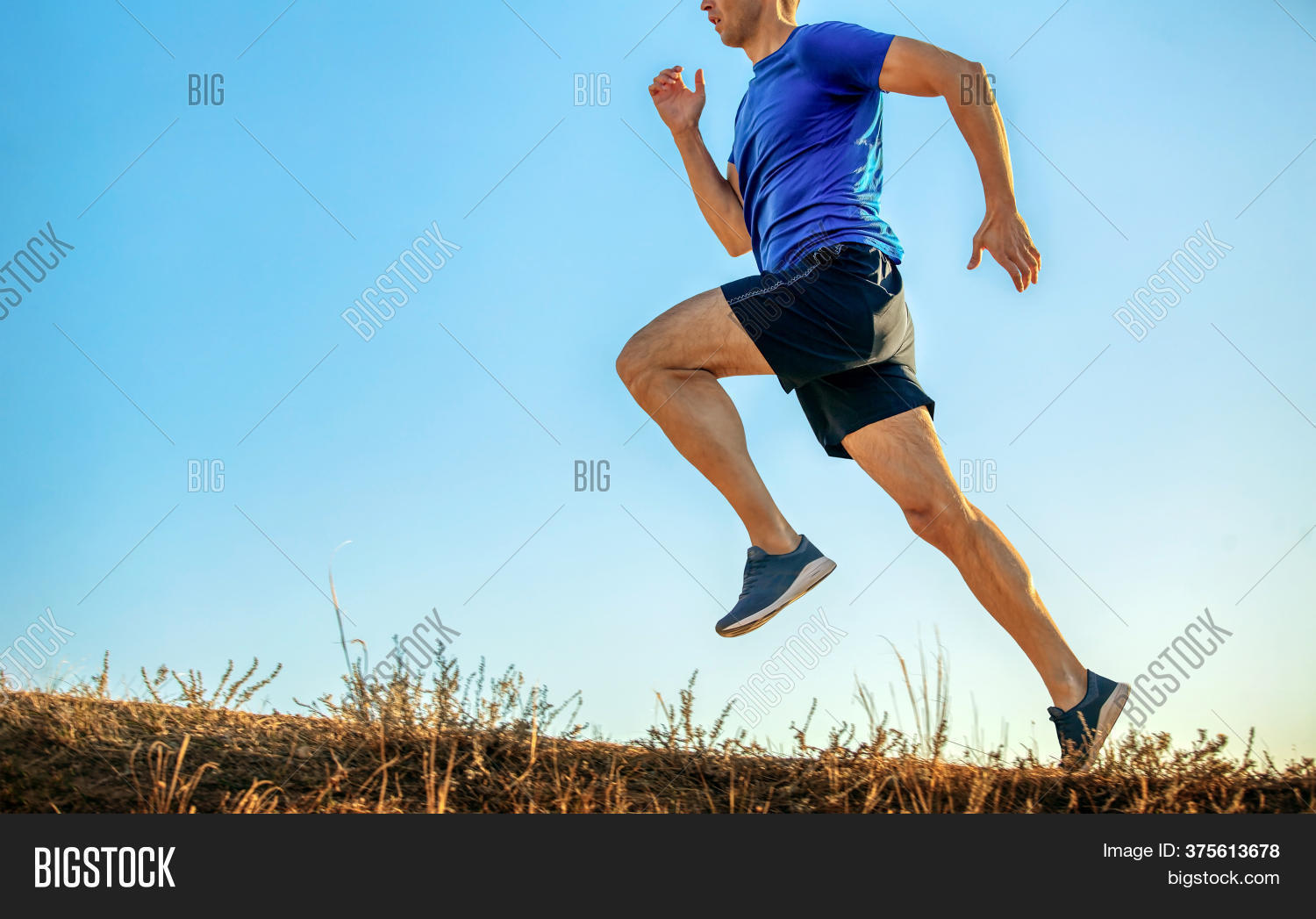 Athlete Runner Run Image & Photo (Free Trial) | Bigstock