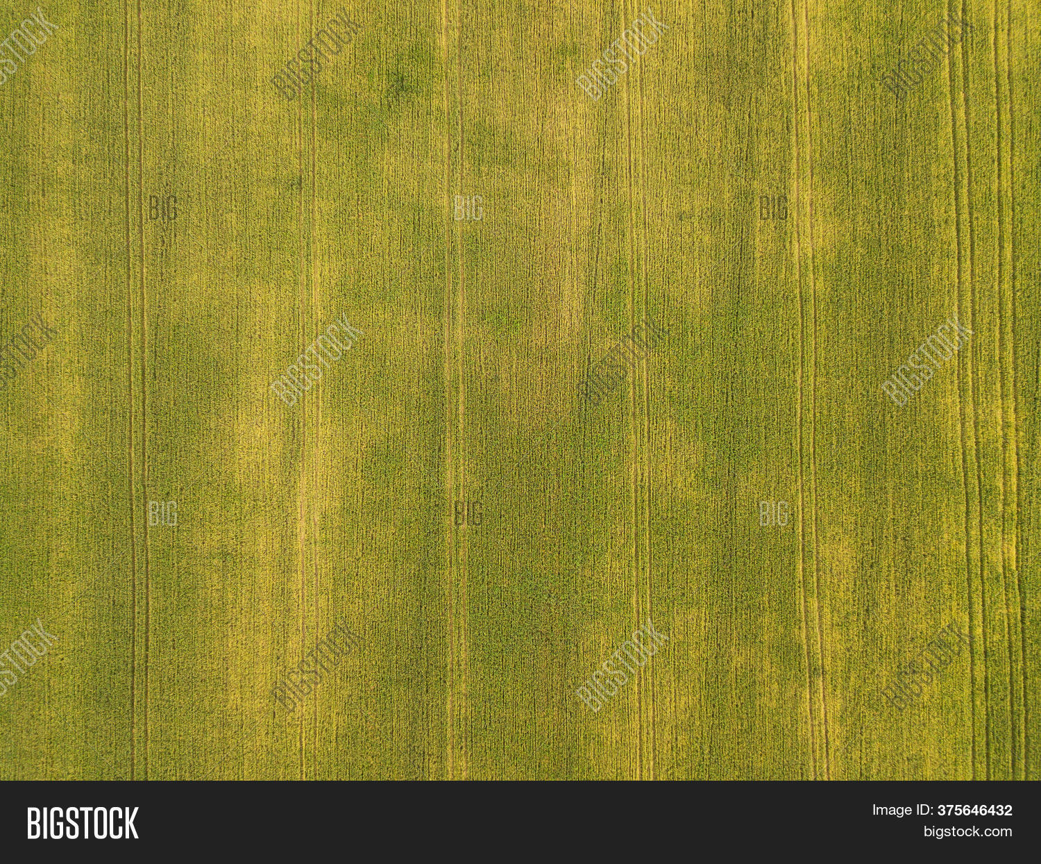 Top View Field Image & Photo (Free Trial) | Bigstock