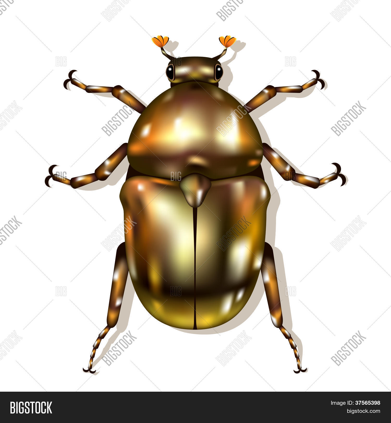 Vector Beetle Vector & Photo (Free Trial) | Bigstock