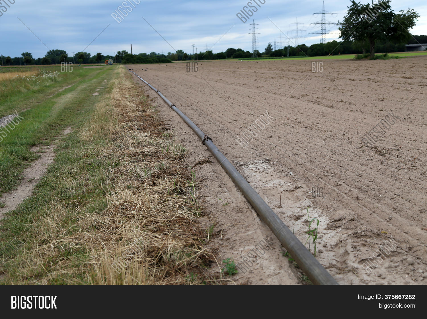 Irrigation Farmland Image & Photo (Free Trial) | Bigstock