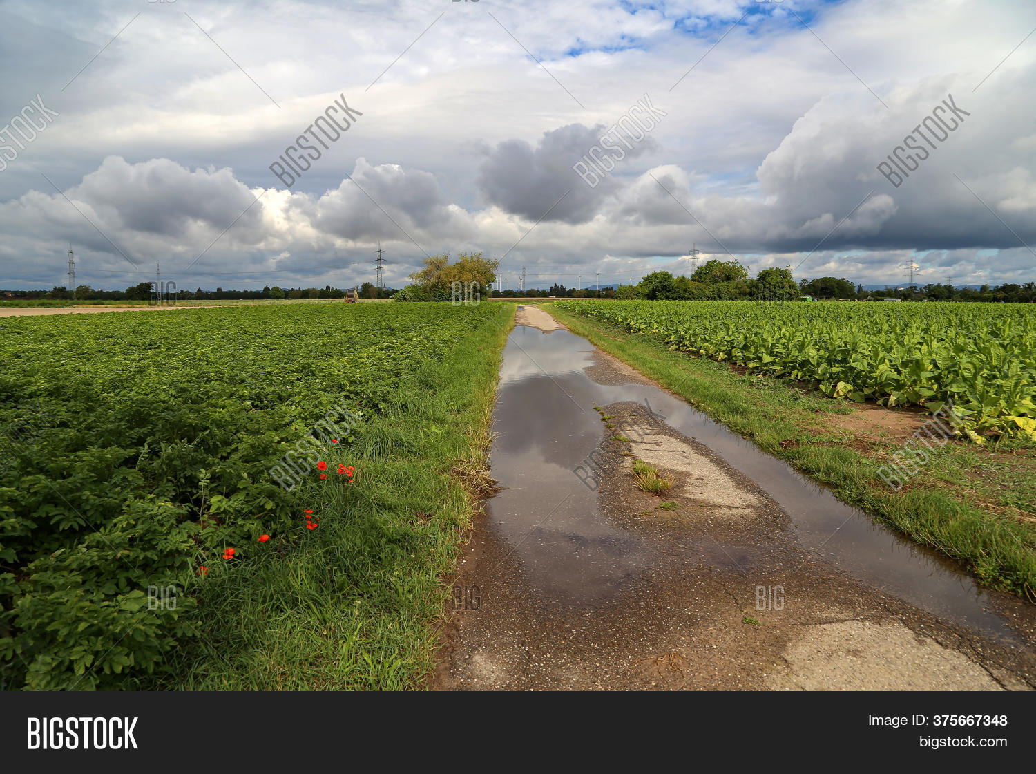 Irrigation Farmland Image & Photo (Free Trial) | Bigstock