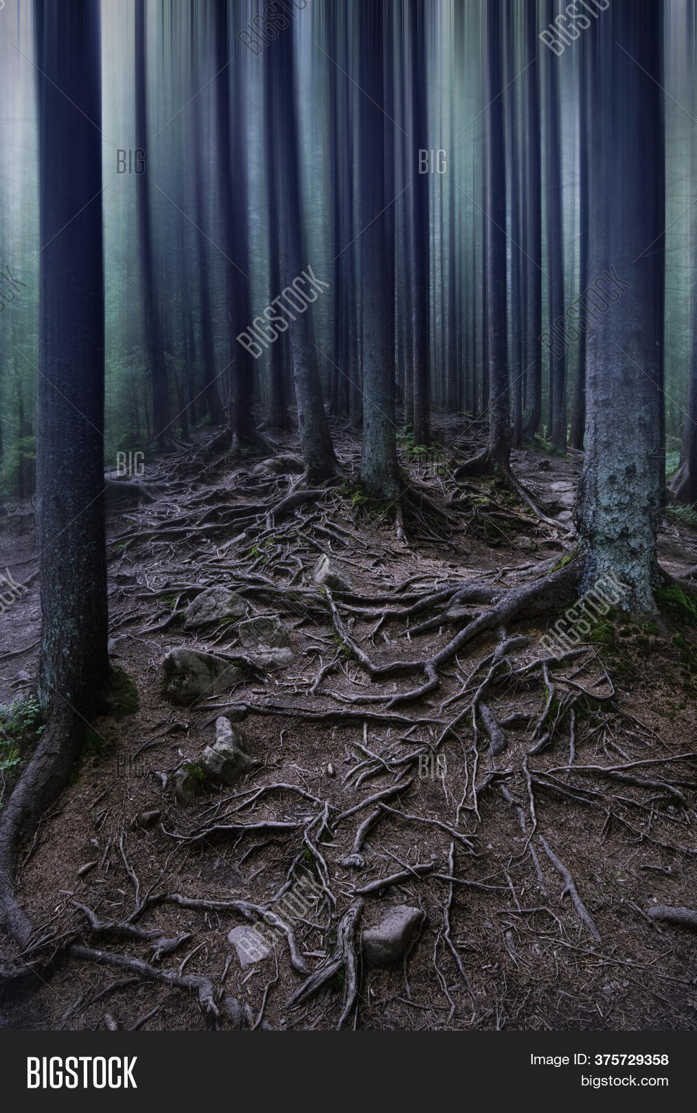 Trees Root Covered Image & Photo (Free Trial) | Bigstock