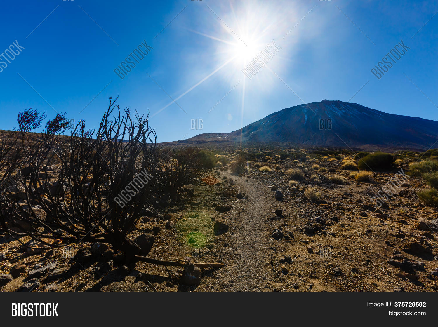 Teide National Park, Image & Photo (Free Trial) | Bigstock